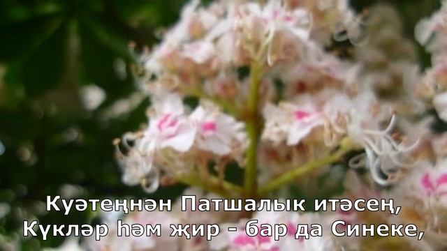 76 Мәрхәмәтеңне мәңге җырлармын