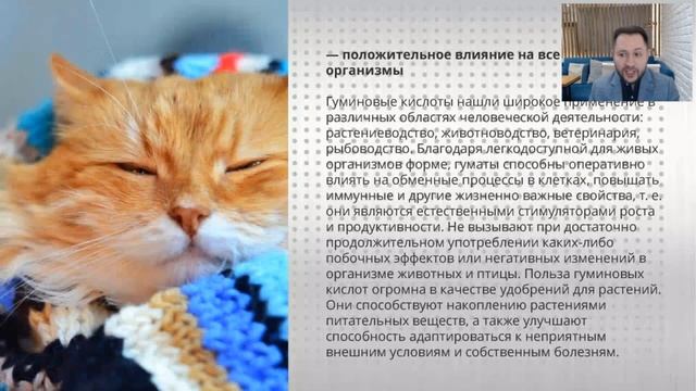 Вебинар: "Вебинар по продукции Imperium Valeo – MatrixRelictum"