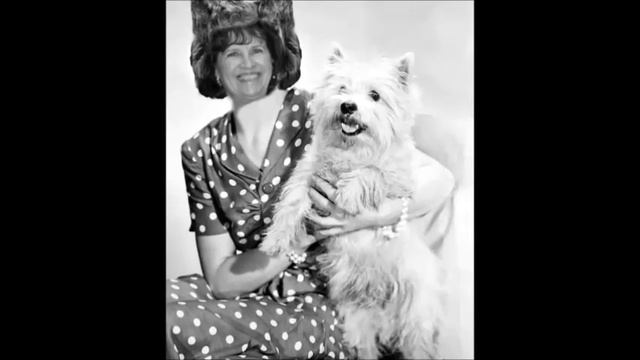 Виртуальная шарж-галерея "Наши женщины"