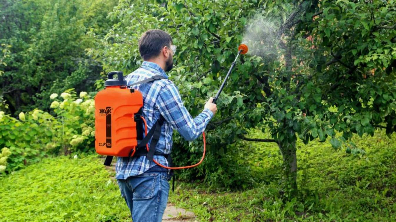 Опрыскиватель садовый,купил на озон.