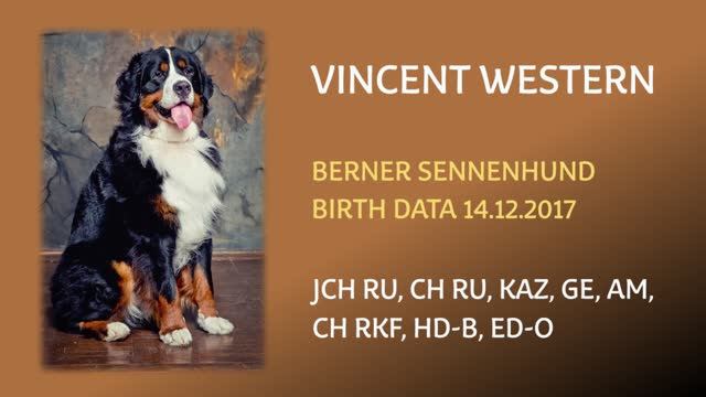 визитка VINCENT W