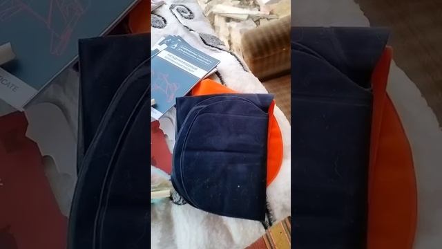 🏆 Наши чемпионы с выставки кошек клуба VROO " KLK " LEORUSS"! 🏆