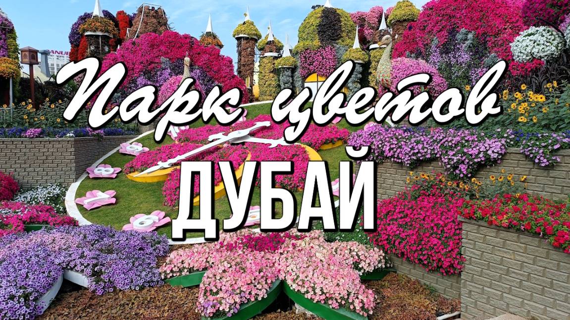 Парк цветов Miracle Garden (ОАЭ, Дубай) - Райский сад в пустыне