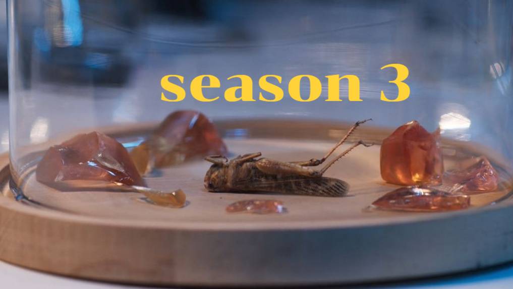 Сериал Защитник / The Protector Сезон 3 серия 6