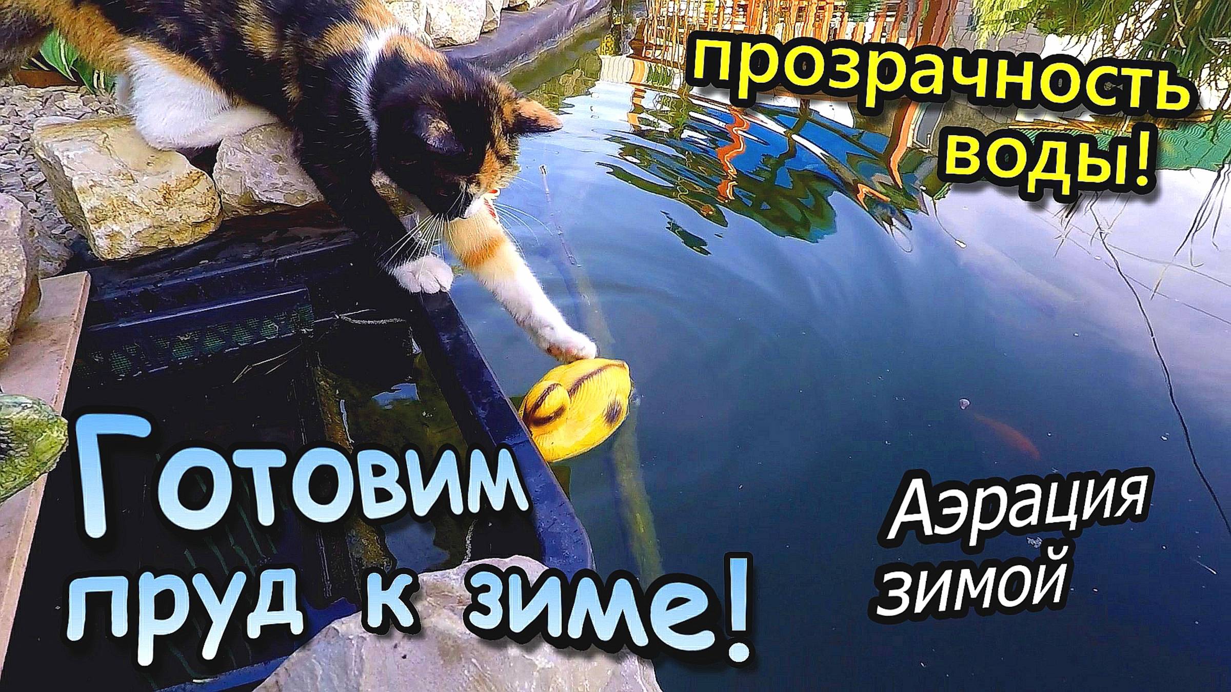Готовим пруд к зиме! / Итоги прозрачности воды / Компрессор по мощнее / Аэрация зимой (осень 2020)