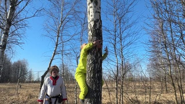 Дети лезут за подарками на "мировое дерево"
