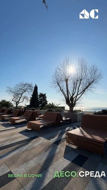 ДЕСО: что нужно сделать в Сочи весной обязательно?