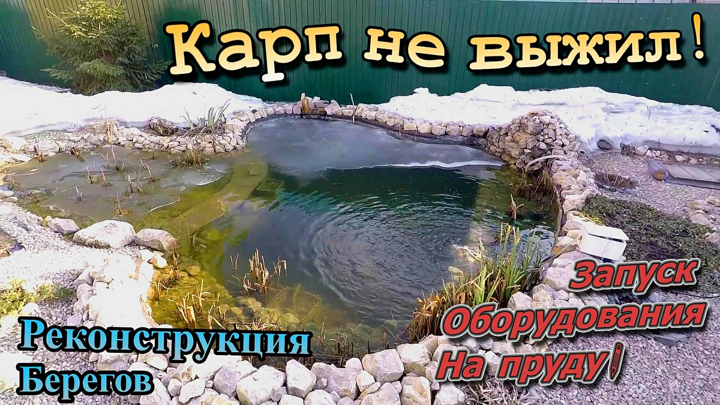 Карп Кои не выжил!\Съемка под водой\Запуск оборудования в пруду/Реконструкция берегов (весна 2021)