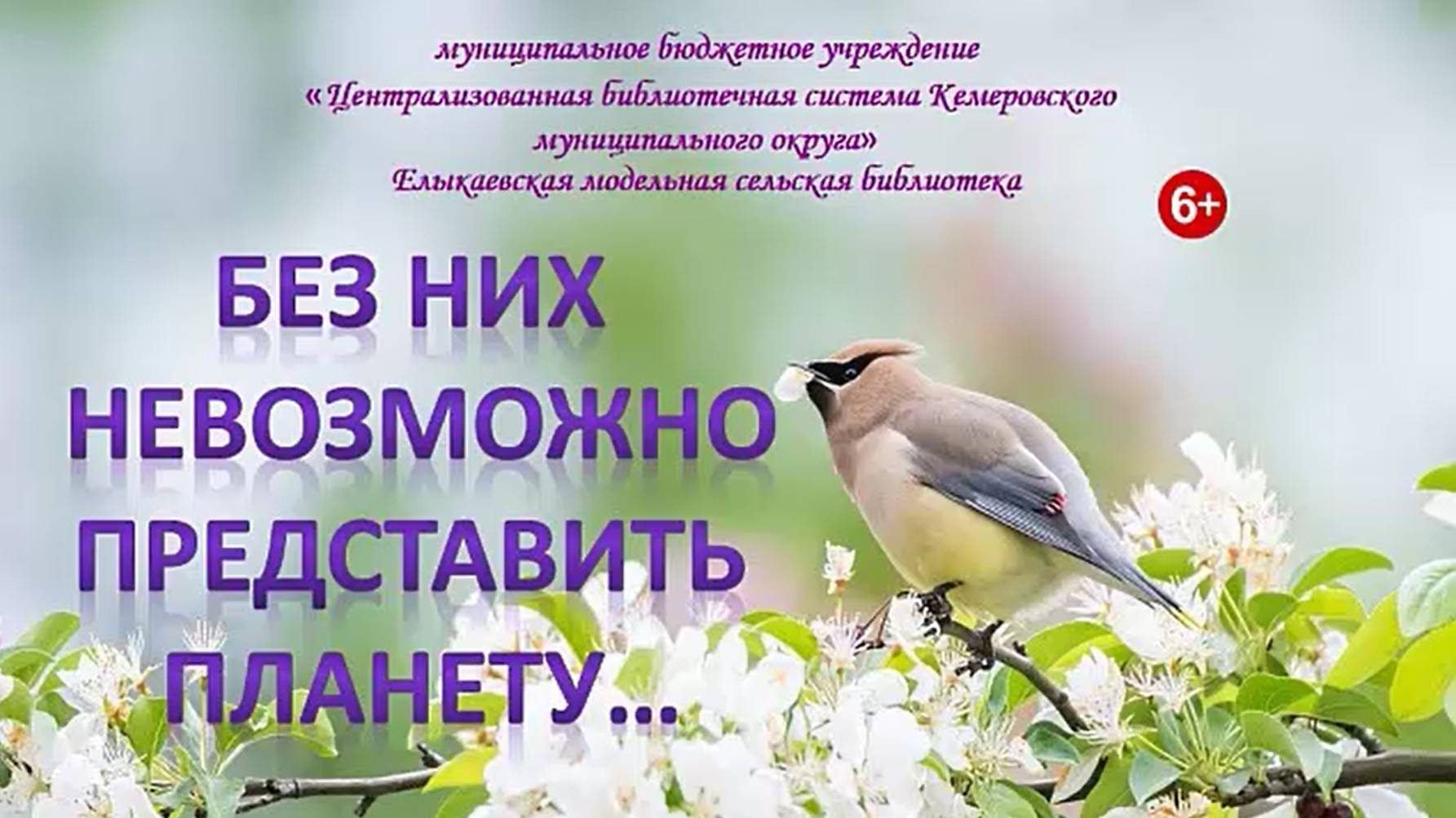 Виртуальный книжный экспресс ко Дню птиц "Без них невозможно представить планету"