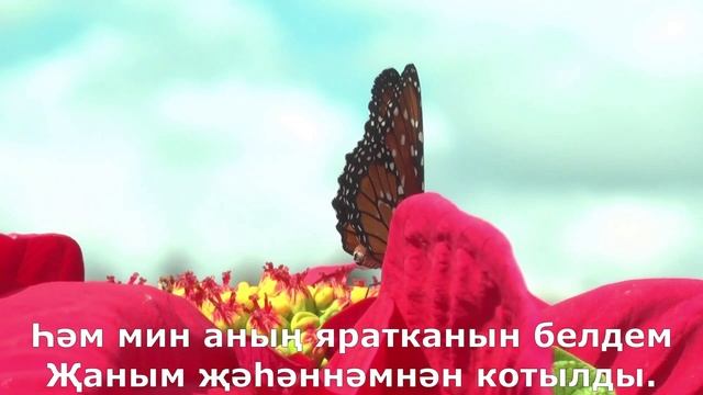 104 Гайсә йөрәгемә кергәнче