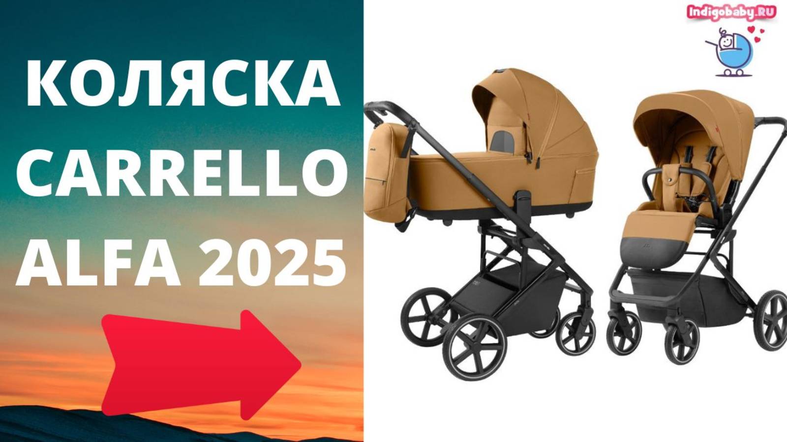 Коляска CARRELLO ALFA crl-6522❤. Смотрите видеообзор первыми!
