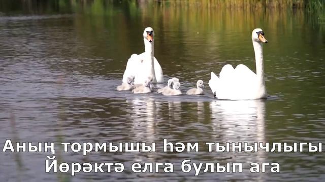 110 Күк ишеге миңа да ачылды