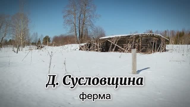 Деревня Сусловщина, ферма.mp4