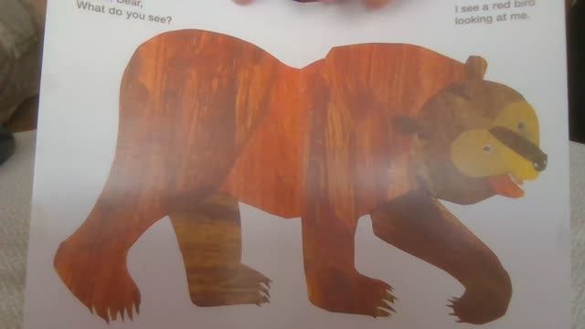 Бурый медведь, Что ты видишь? Читаем по-английски