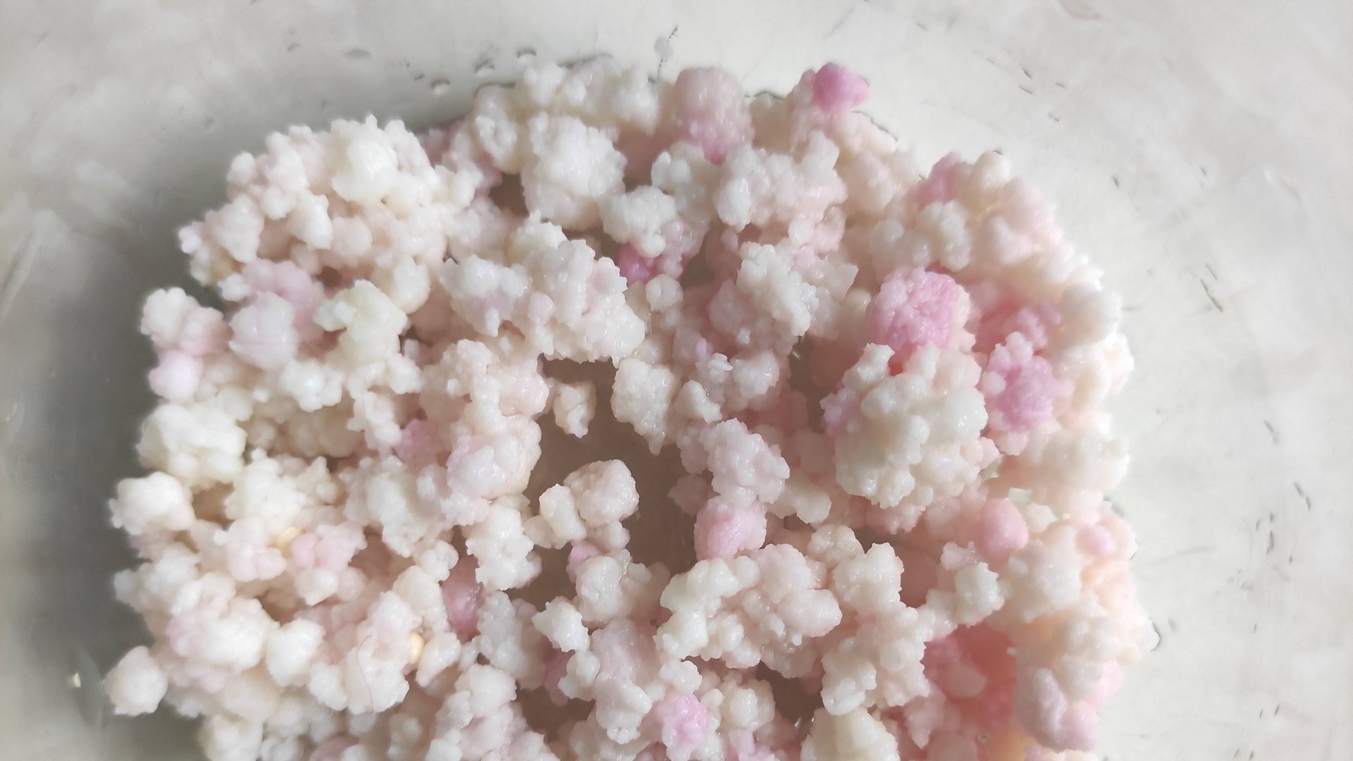 Кефирный грибок порозовел