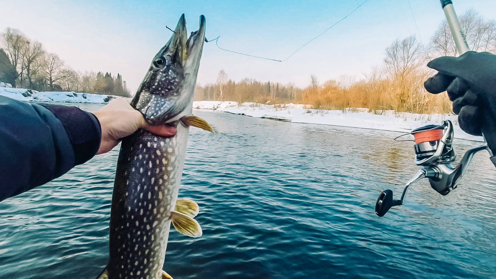 Эксперимент, весь день на одном месте, что можно поймать с одной ямы за день. [Пора ловить щуку]