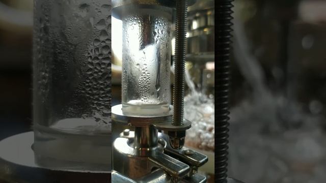 Кальвадос из яблочного сока