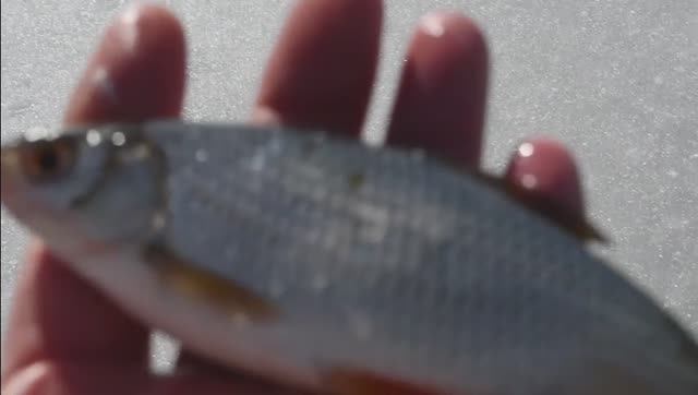 Рыбалка на Оке 9 марта 2025 года