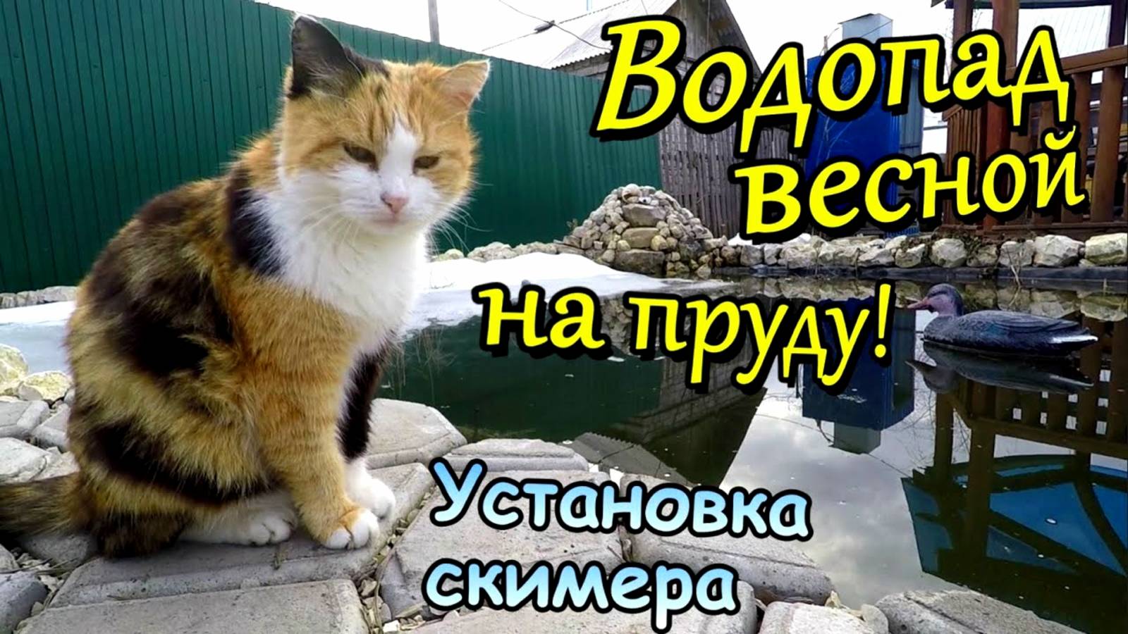 Запуск водопада весной на пруду \ Установка берегового скимера \ Обрезка сухих листьев (весна 2020)