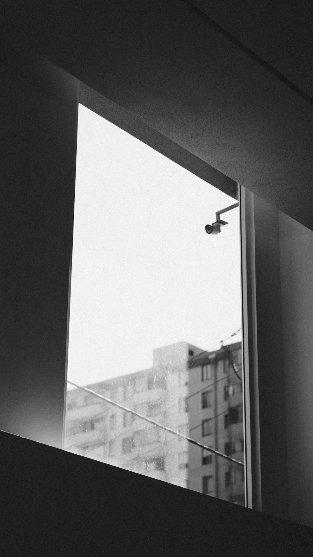 О рисках корпоративного мошенничества и возможности их минимизировать