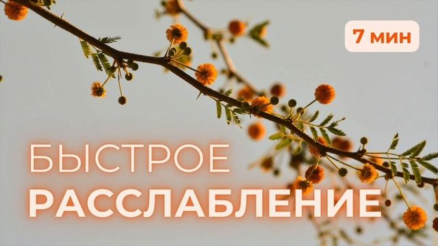 ПРАКТИКА ДЛЯ БЫСТРОГО РАССЛАБЛЕНИЯ ТЕЛА И УМА @alexanderbaranovsky