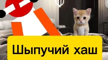 Шыпучий хаш мой мем