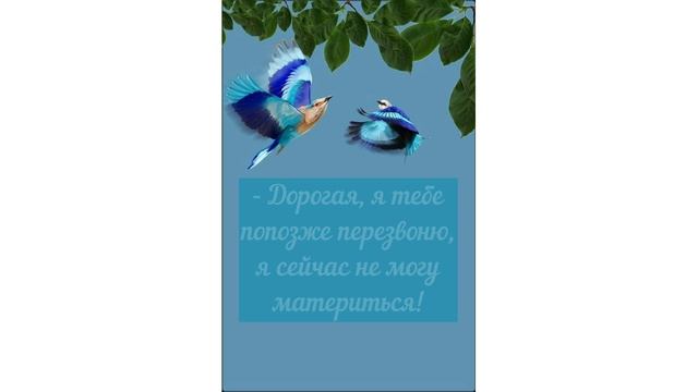 Немного юмора.