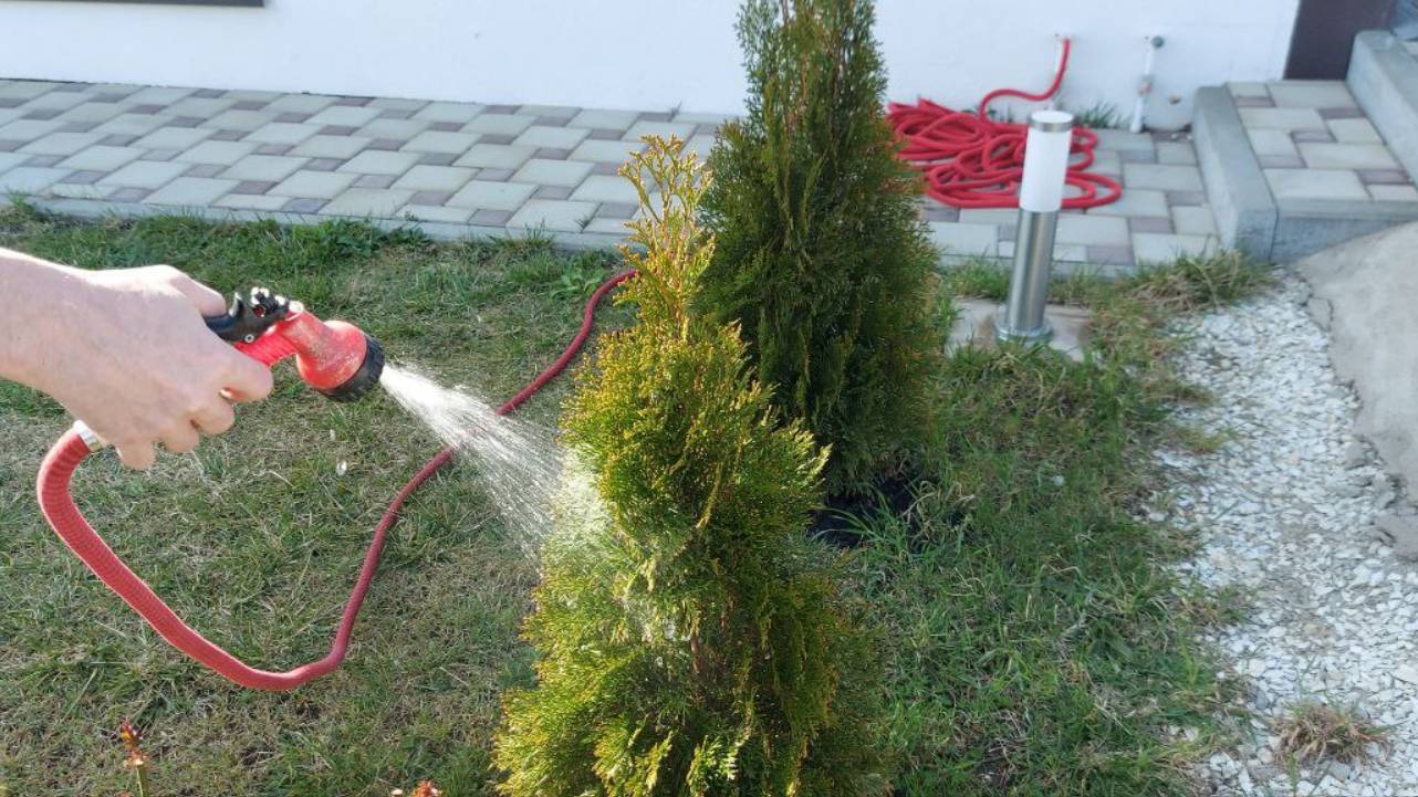 Полив участка. Простое устройство!