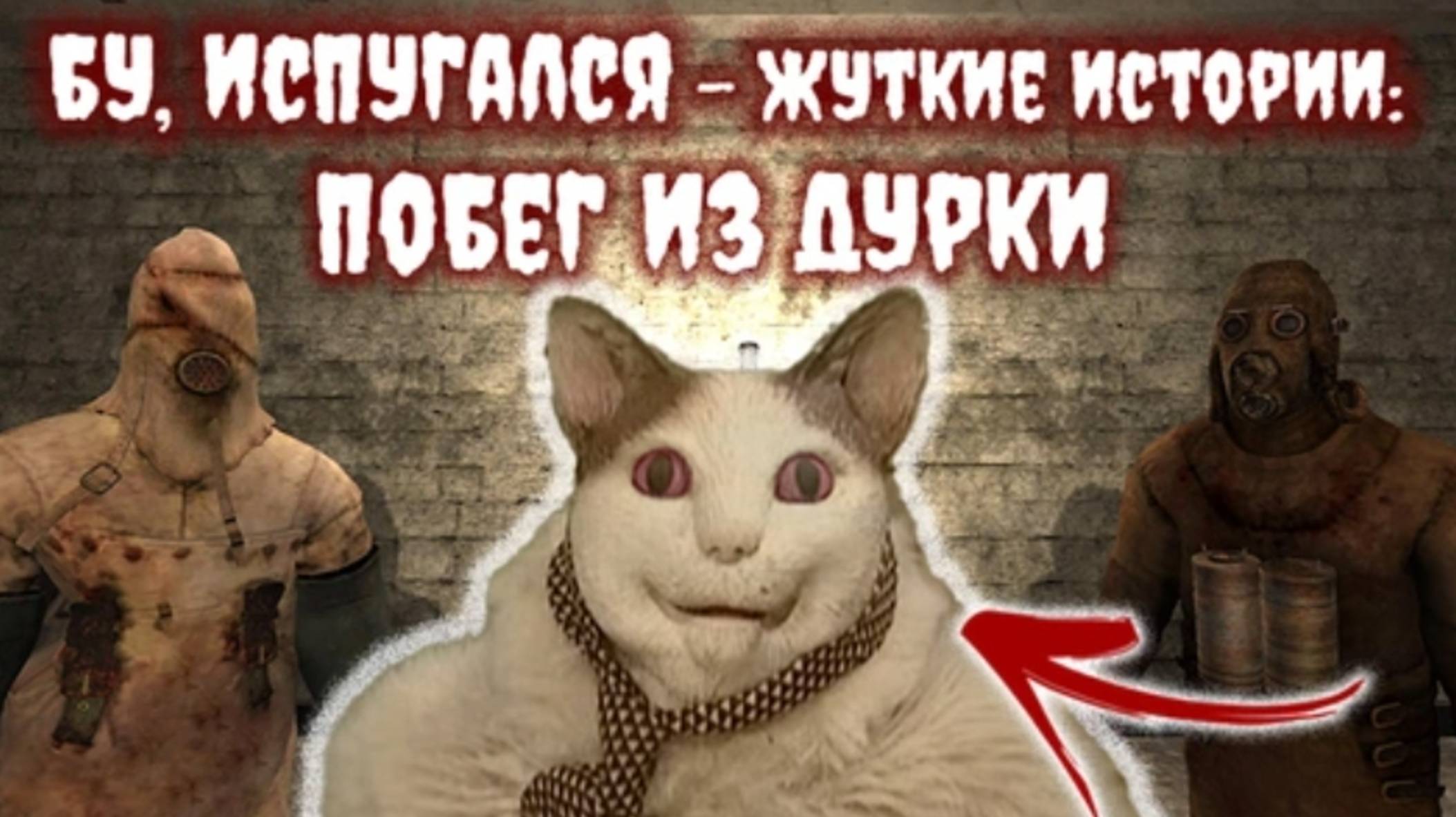 Бу Испугался Жуткие Истории Побег Из Дурки