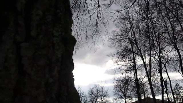 звуки города ОСЕНЬ
