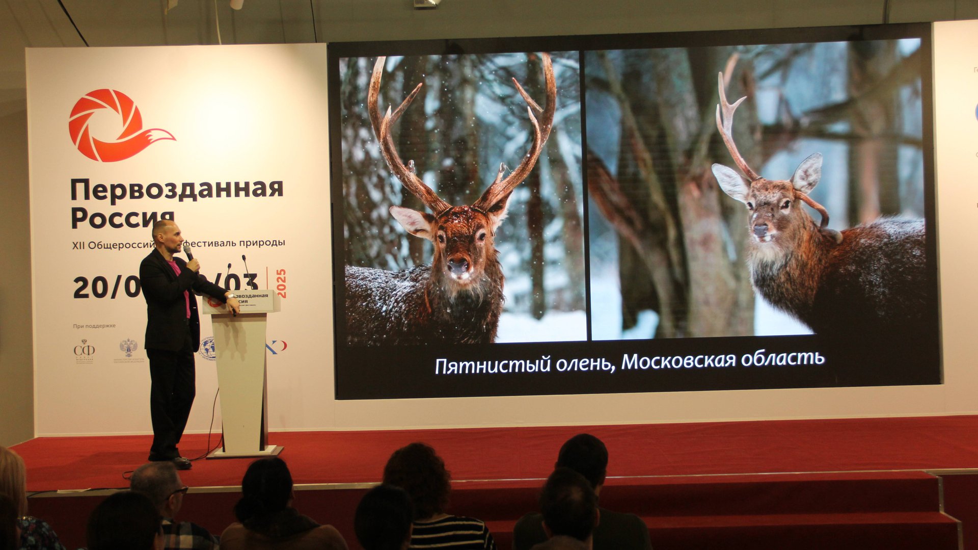 22.03.2025,  Михаил Ездаков. Волшебные двери в мир фотографии дикой природы, часть-4