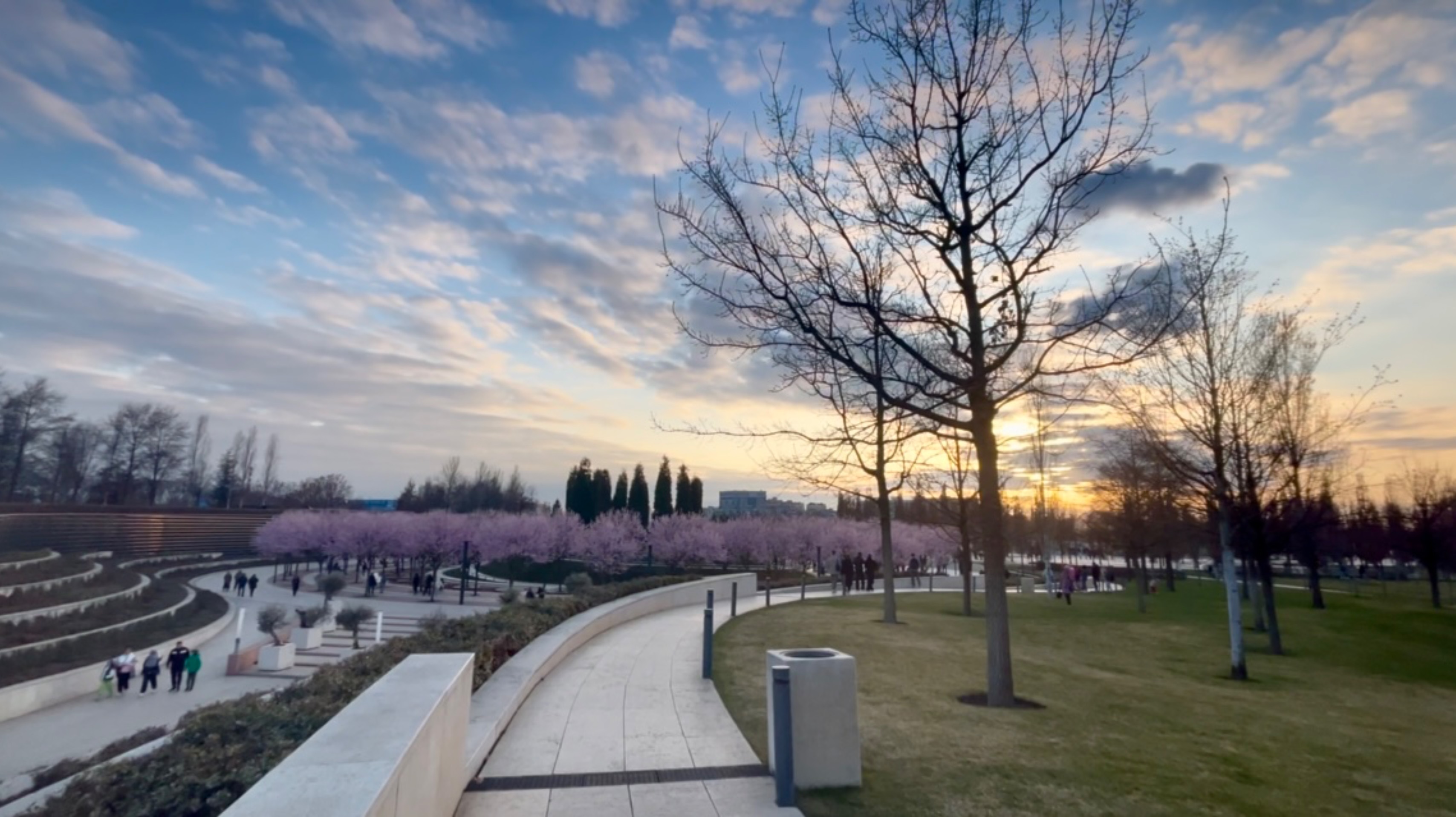 Самый красивый парк Галицкого в Краснодаре 23.03.25