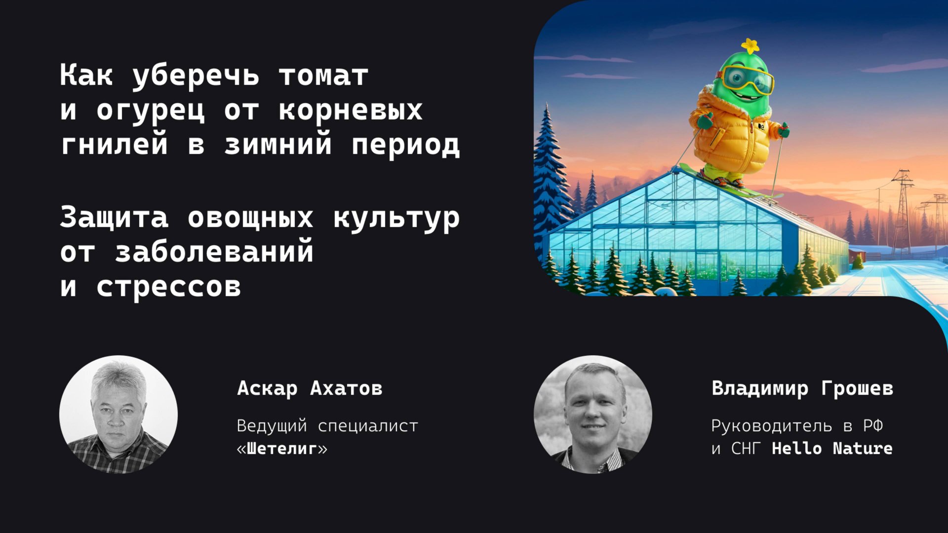 ⛷️ Как уберечь томат и огурец от корневых гнилей зимой в РФ. Защита овощей от заболеваний и стрессов