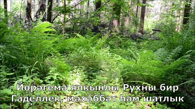 127 Миңа изгелек бирче, Син Гайсәм