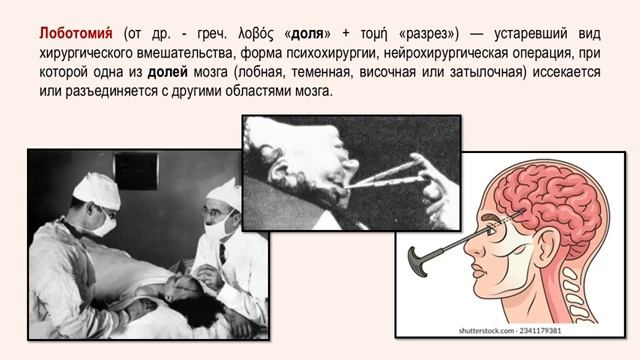 🔥2_Тема__Разум_и_страх__семинара__Восстань_и_светись__