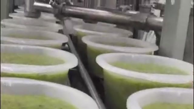 GS Italia - Дозирование супов