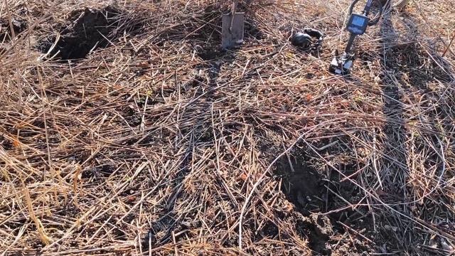 Шурф фунда Раскопки Открытие сезона 2025г