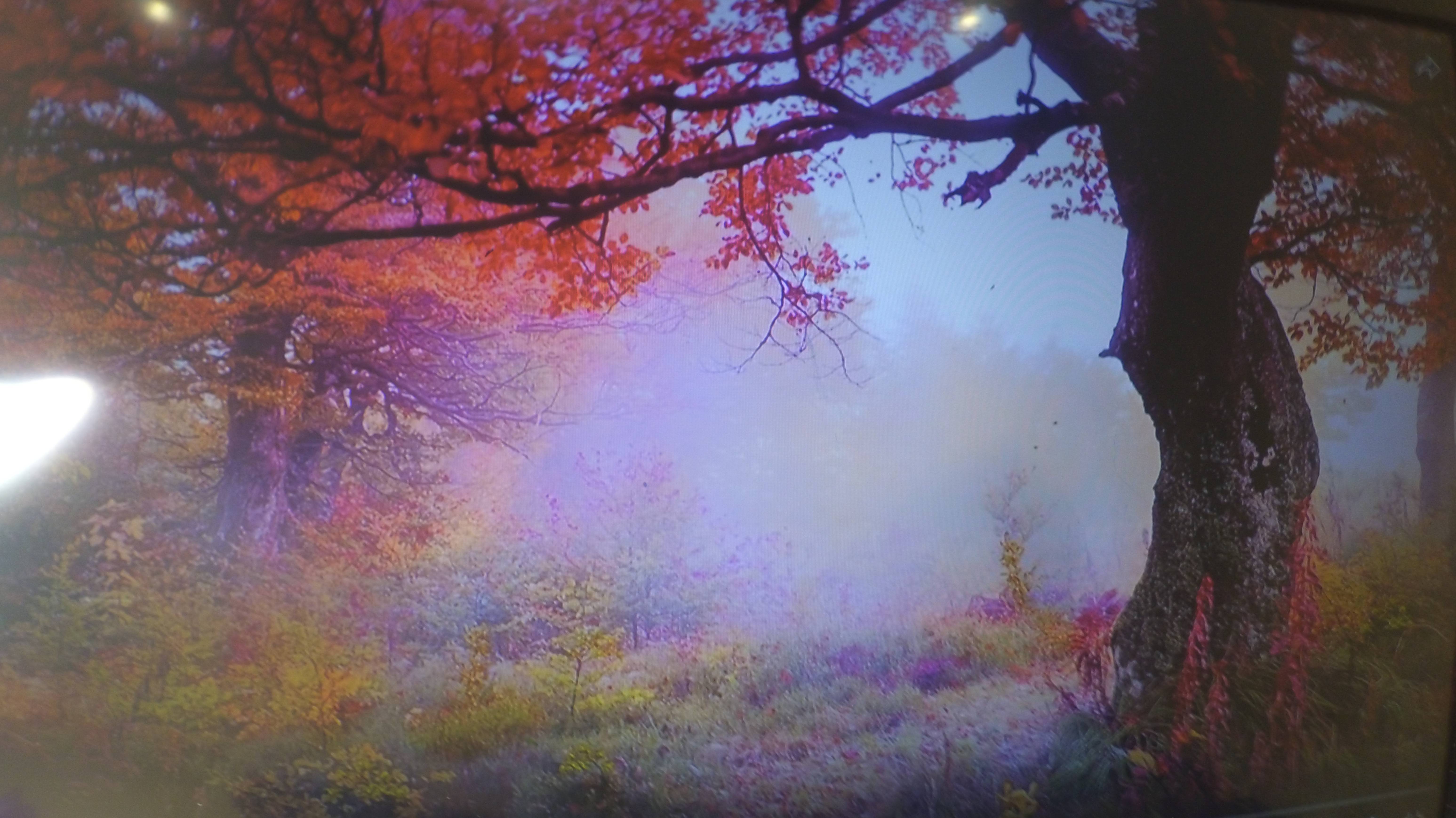 я распаковываю посылку от подписчицы.