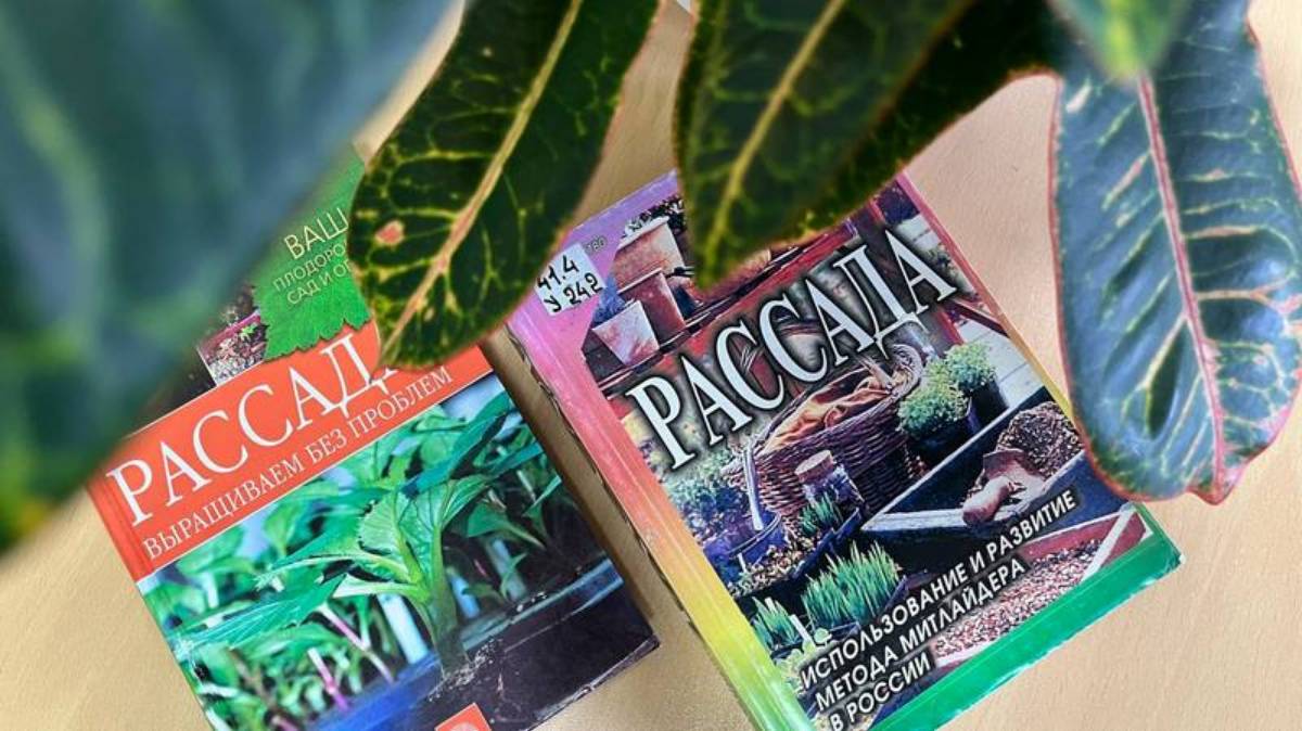 Лекция «Выращивание профессиональной рассады»