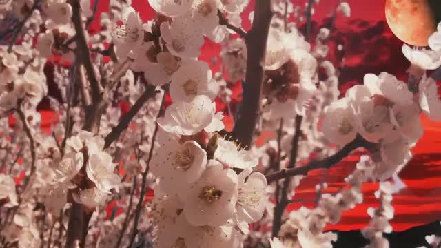 Новое утро (Медляк)  Музыка  - КАВЕРЫ КУЗНЯ