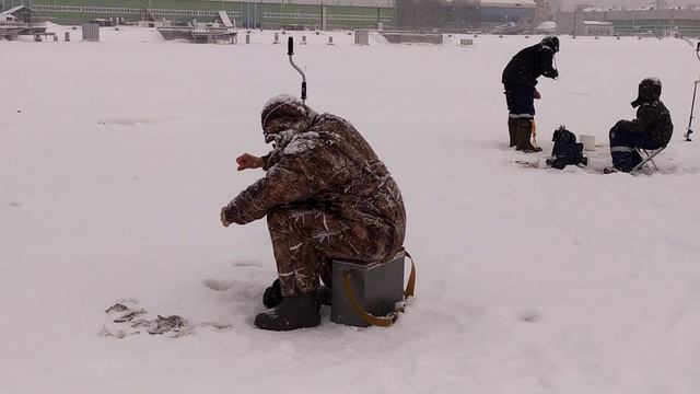 Рыбаки на Финском у Ленэкспо!