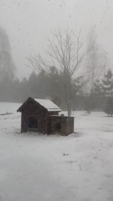 Март в Сибири после того, как уже почти снег растаял. 24 марта