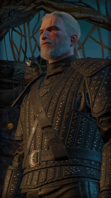 Мы оба здесь The Witcher 3  Ведьмак 3 shorts