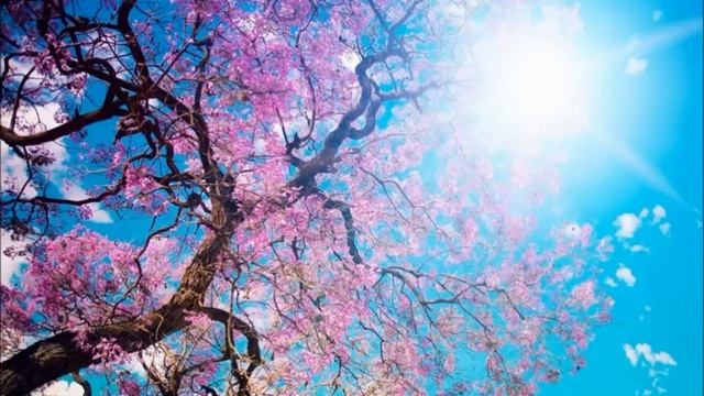 4188-из Гарыныч ВЕТЕР-Собственность Господа!-Весна даёт нам сил...