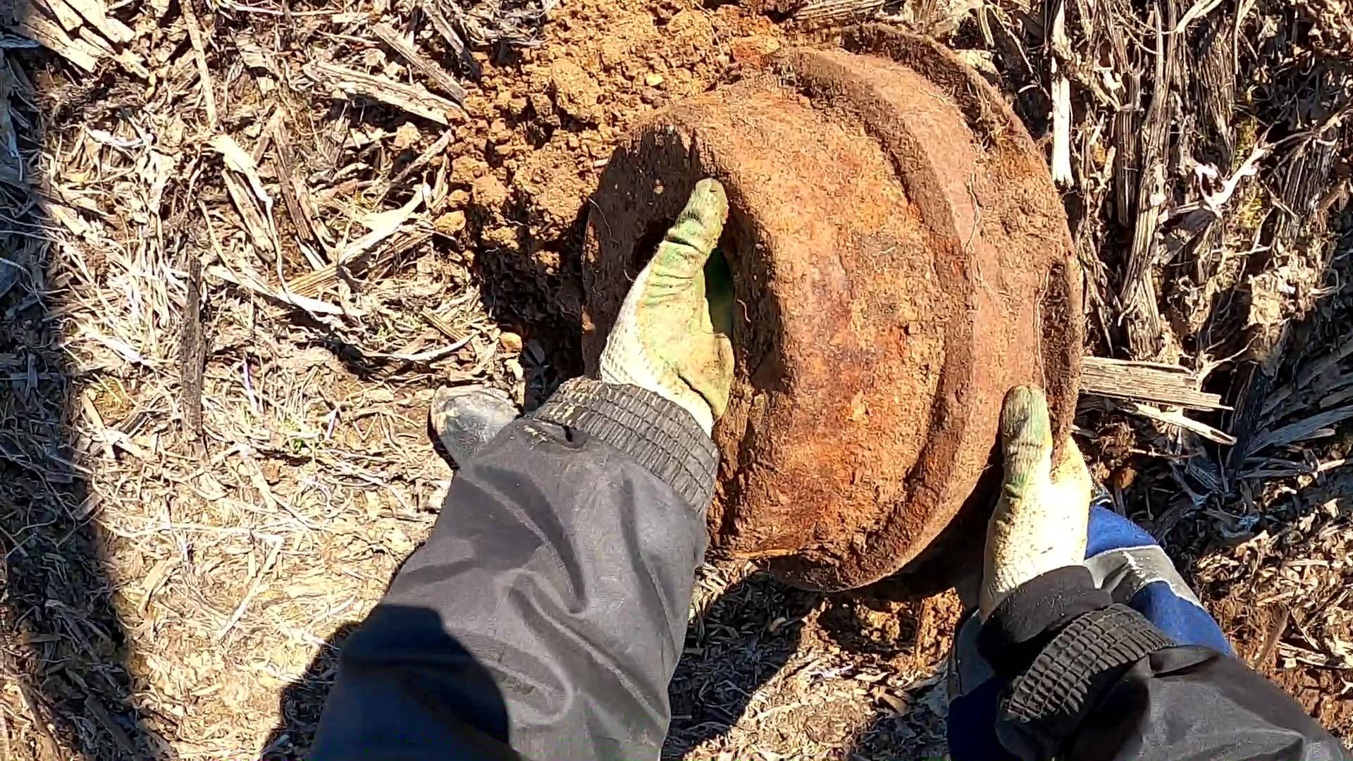 Открытие сезона металлокопа 2025, цена наличкой 14р... коп от души