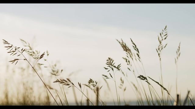 фантанчик ⛲