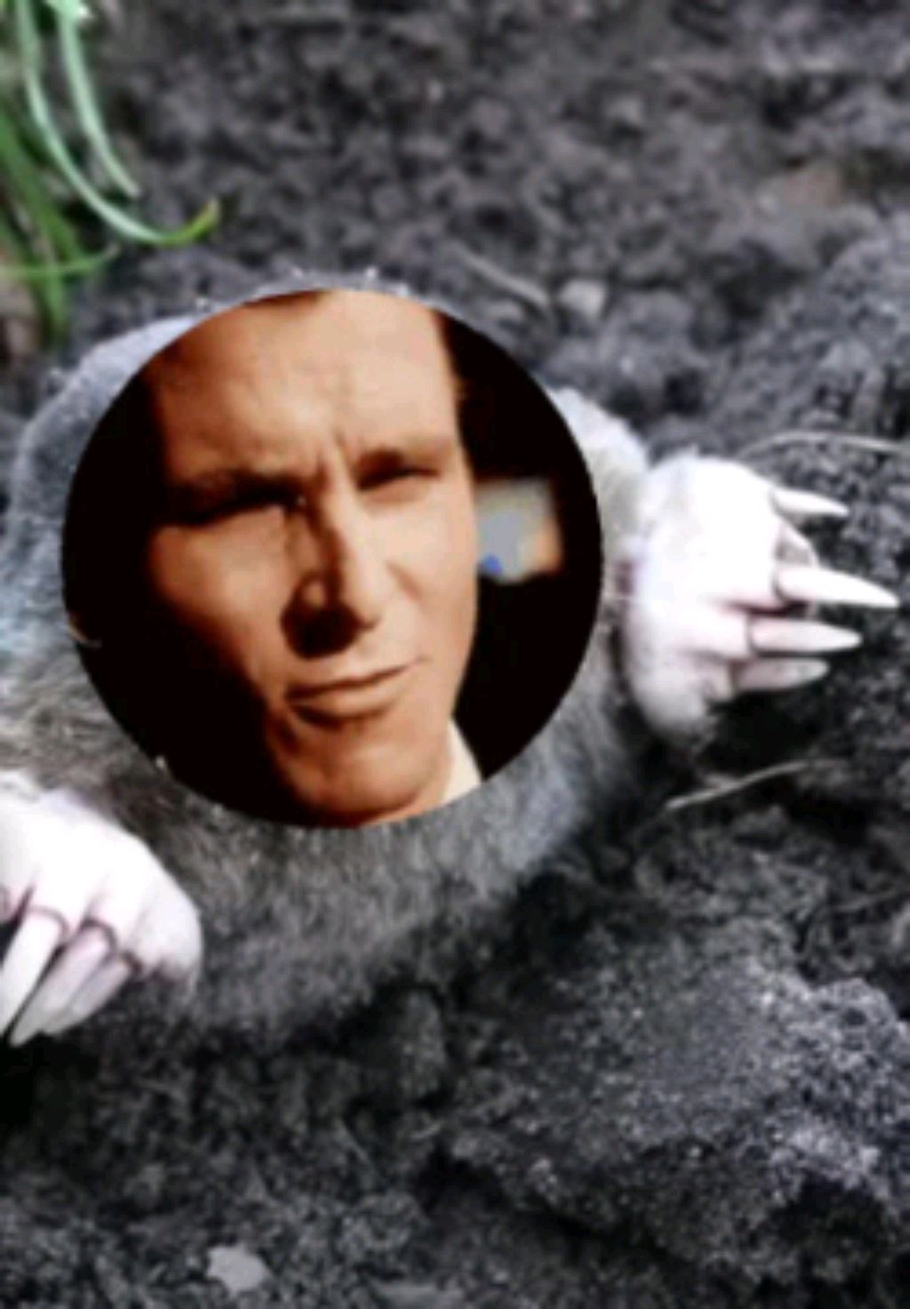 типичная гулянка 2