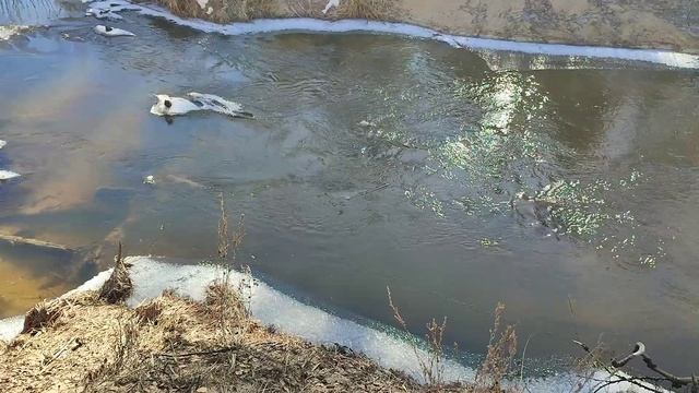 Проверка уровеня воды на Юшуте - 23.03.25