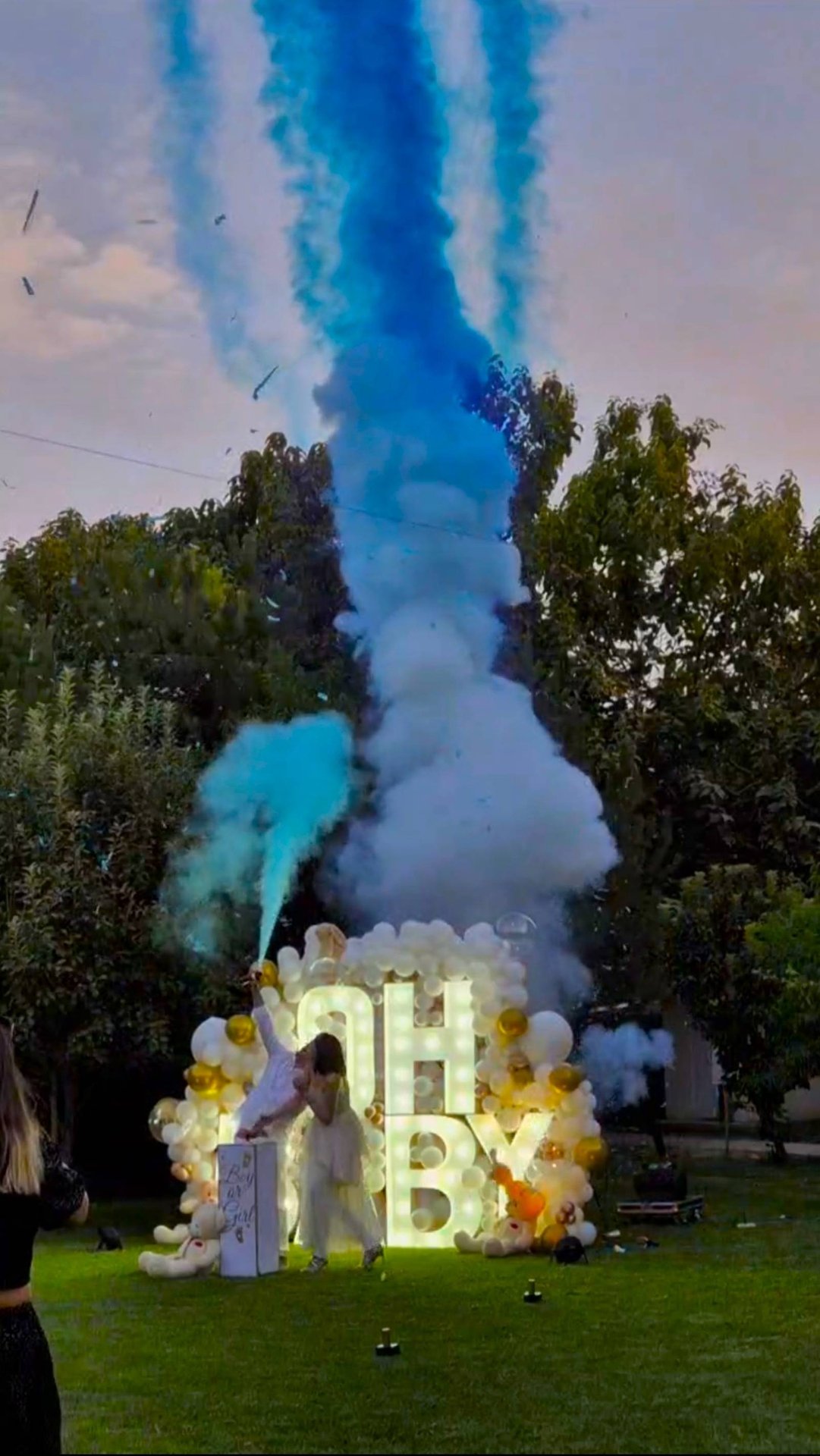 Дневной салют на гендер пати. Определение пола ребёнка