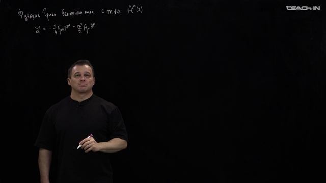 Наумов Д.В. - Введение в КТП - 19. Дифракция. Функции Грина некоторых уравнений